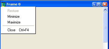 Managing View Frames